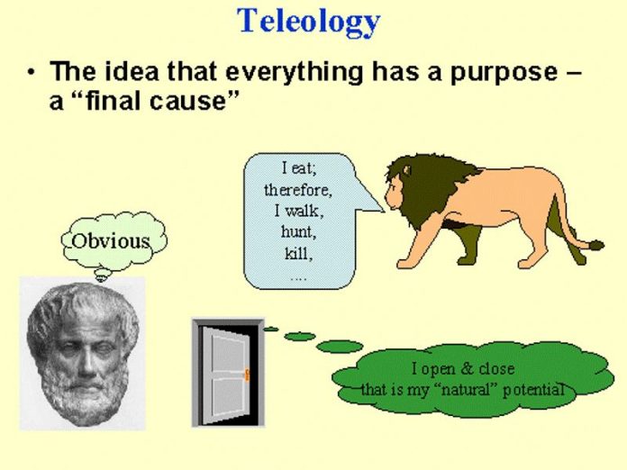 33 Interesting Facts About Aristotle - OhFact!