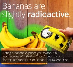 17 Interesting Facts About Bananas - OhFact!