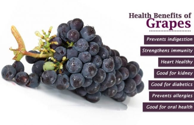 17 Interesting Facts About Grapes - OhFact!