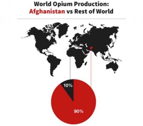 17 Interesting Facts About Opium - OhFact!
