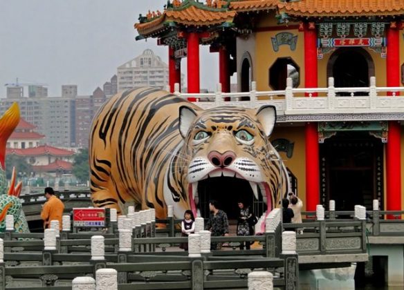 43 Interesting Facts About Tiger - OhFact!