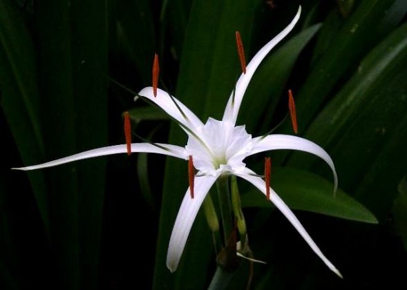 14 Fascinating Facts About Burj Khalifa You Should Know - OhFact!