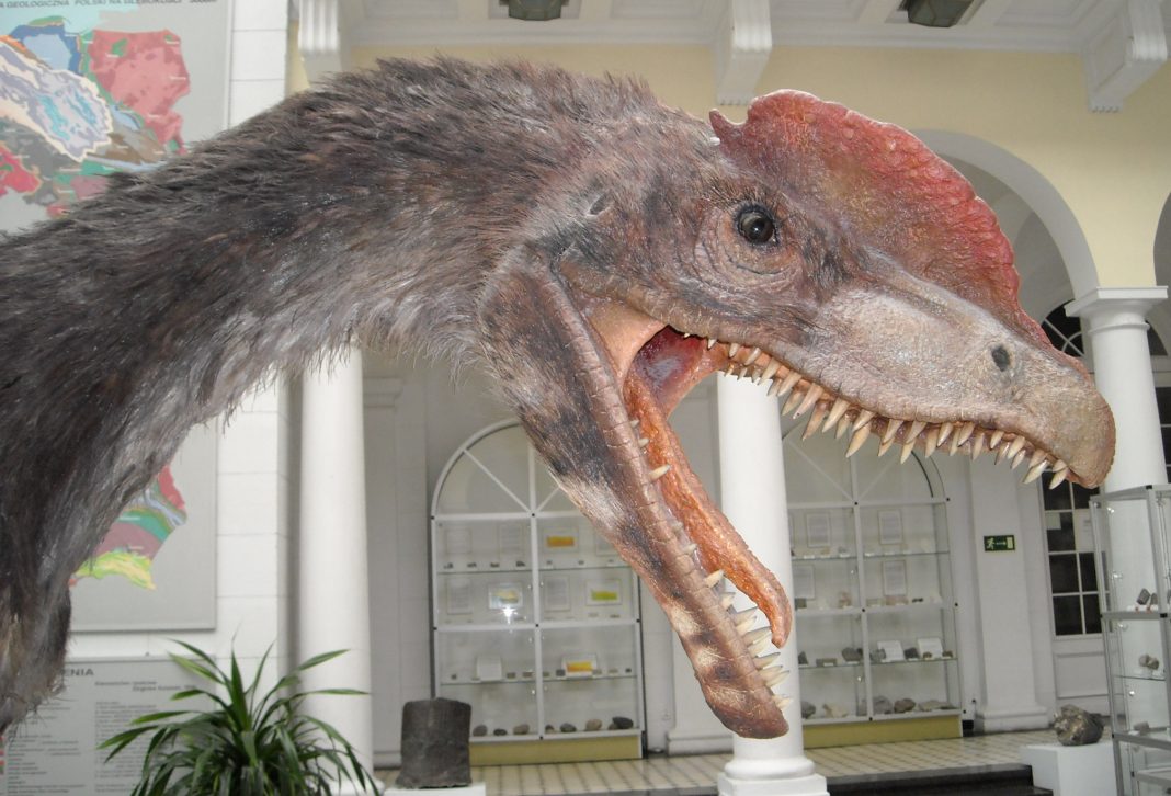 11 Interesting Facts About Dilophosaurus - OhFact!