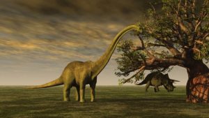 8 Interesting Facts About Brontosaurus - OhFact!