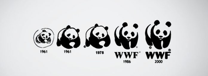 18 Interesting Facts About Panda - OhFact!