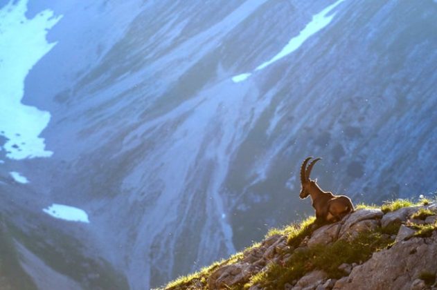 18 Interesting Facts About the Alps Mountain Range - OhFact!