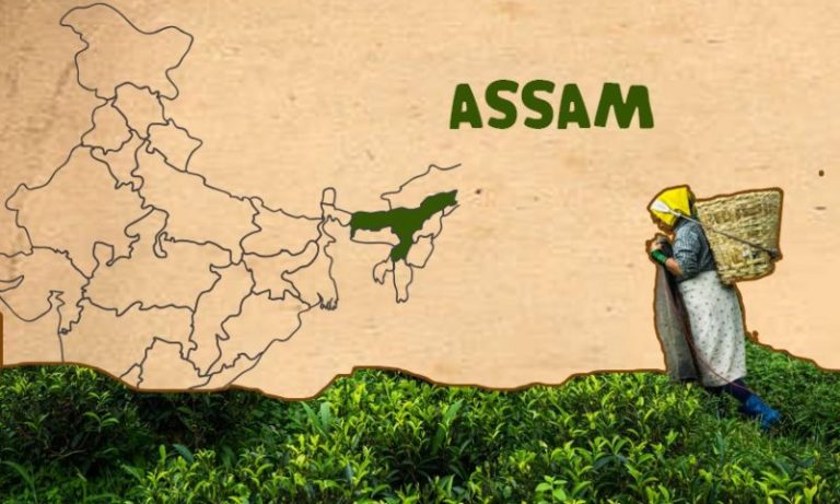 17 Interesting Facts About Assam - OhFact!