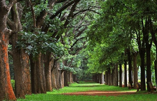 20 Interesting Facts About Bengaluru - OhFact!