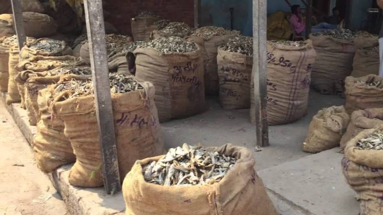 17 Interesting Facts About Assam - OhFact!