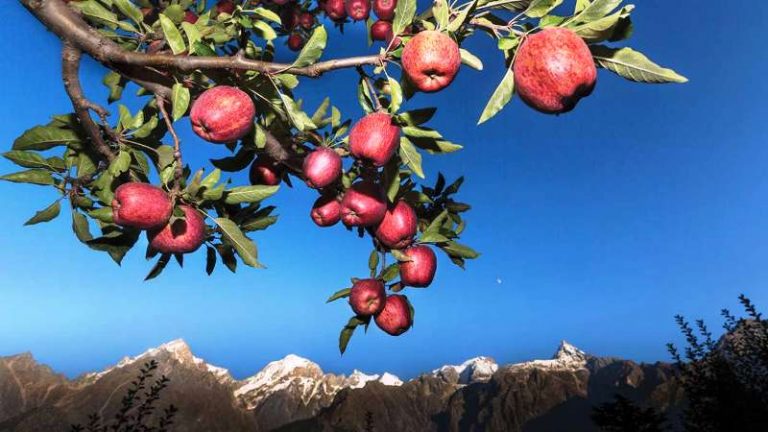 26 Interesting Facts About Himachal Pradesh - OhFact!