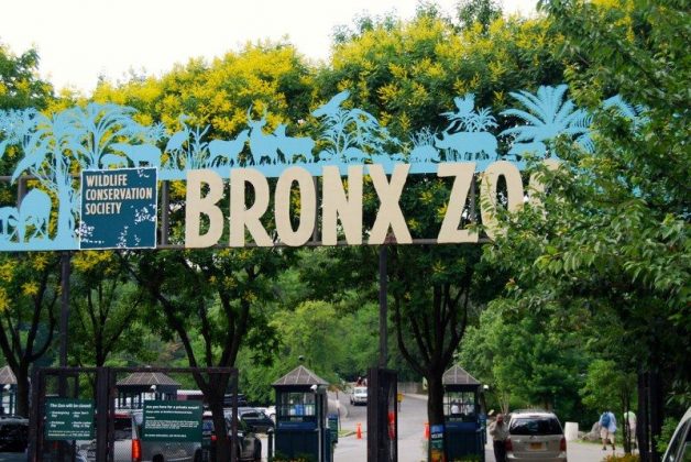 31 Interesting Facts About The Bronx Zoo - OhFact!