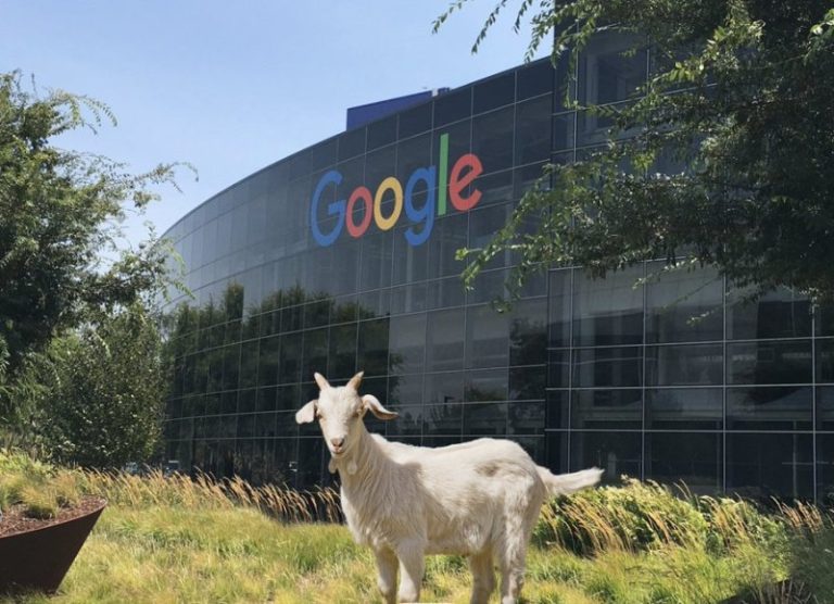 43 Interesting Facts About Google - OhFact!